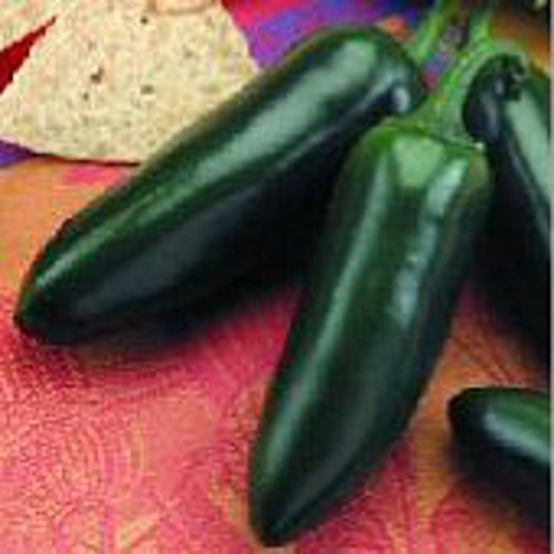 Jalapeno Goliath Hot Peppers Seeds - Etsy