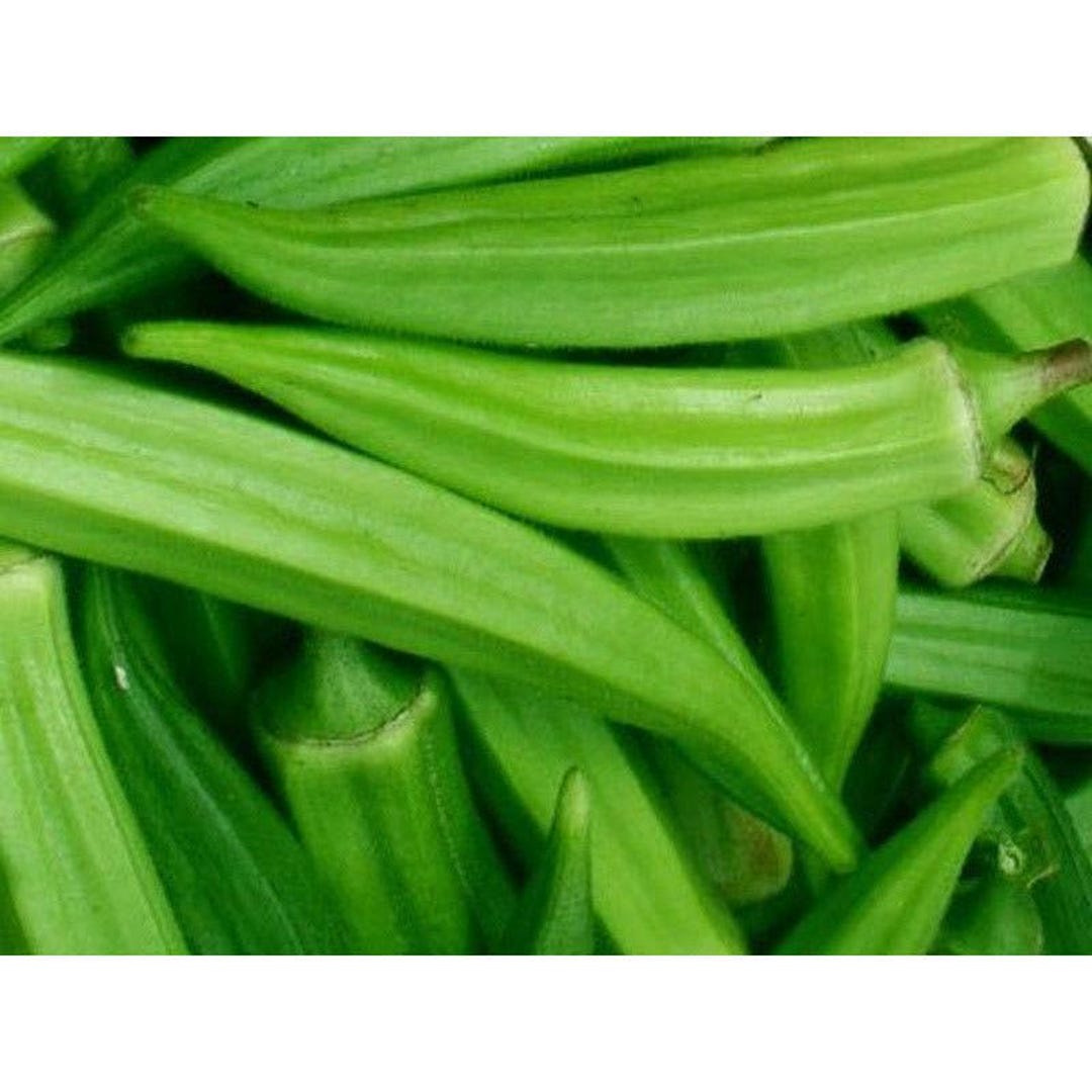 Perkin's Long Pod Okra Seeds - Etsy