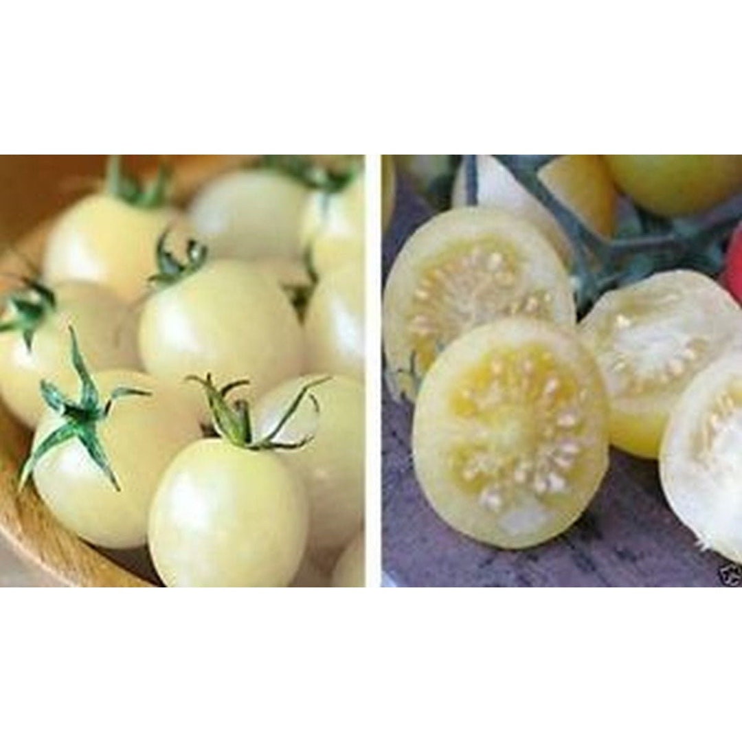 Snow White Cherry Tomato Seeds - Etsy