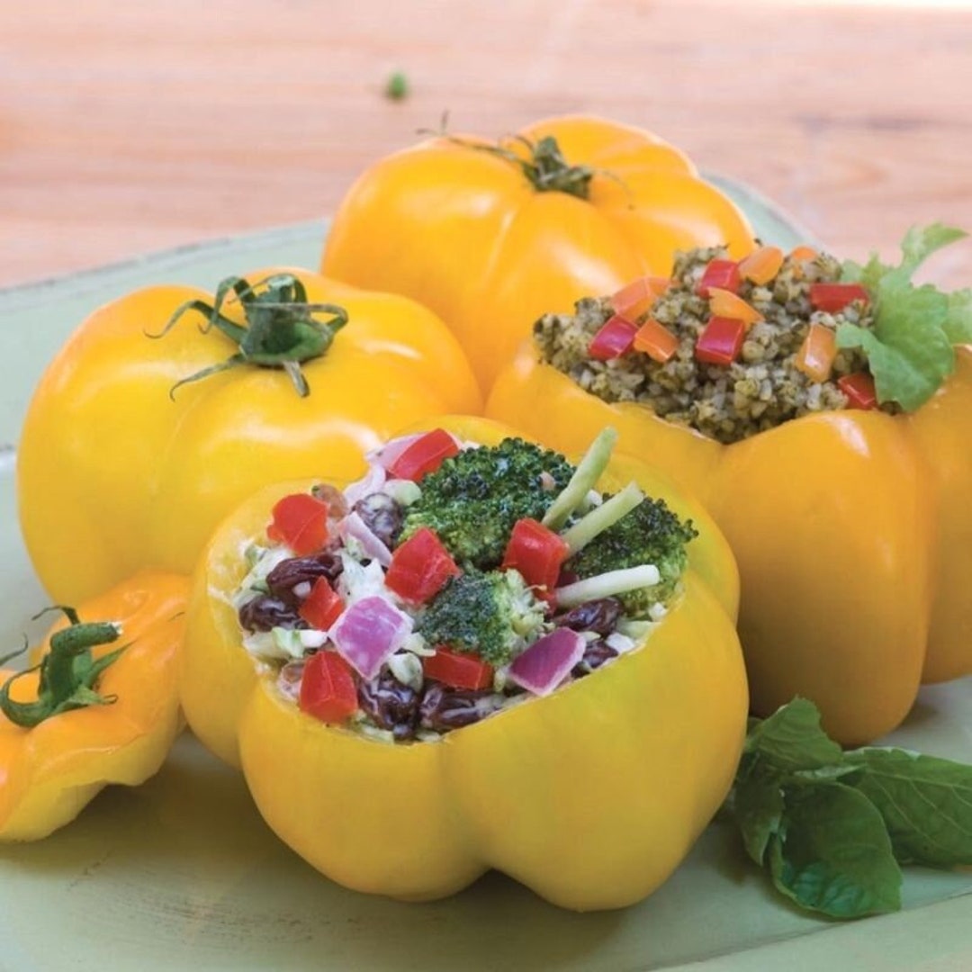 Organic Yellow Stuffer Tomato Seeds - Etsy