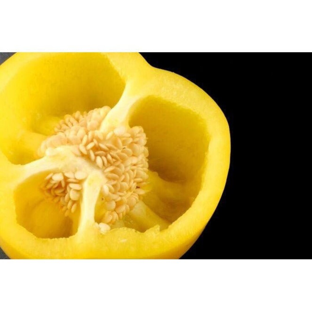 Sunbright Bell Pepper Seeds - Etsy