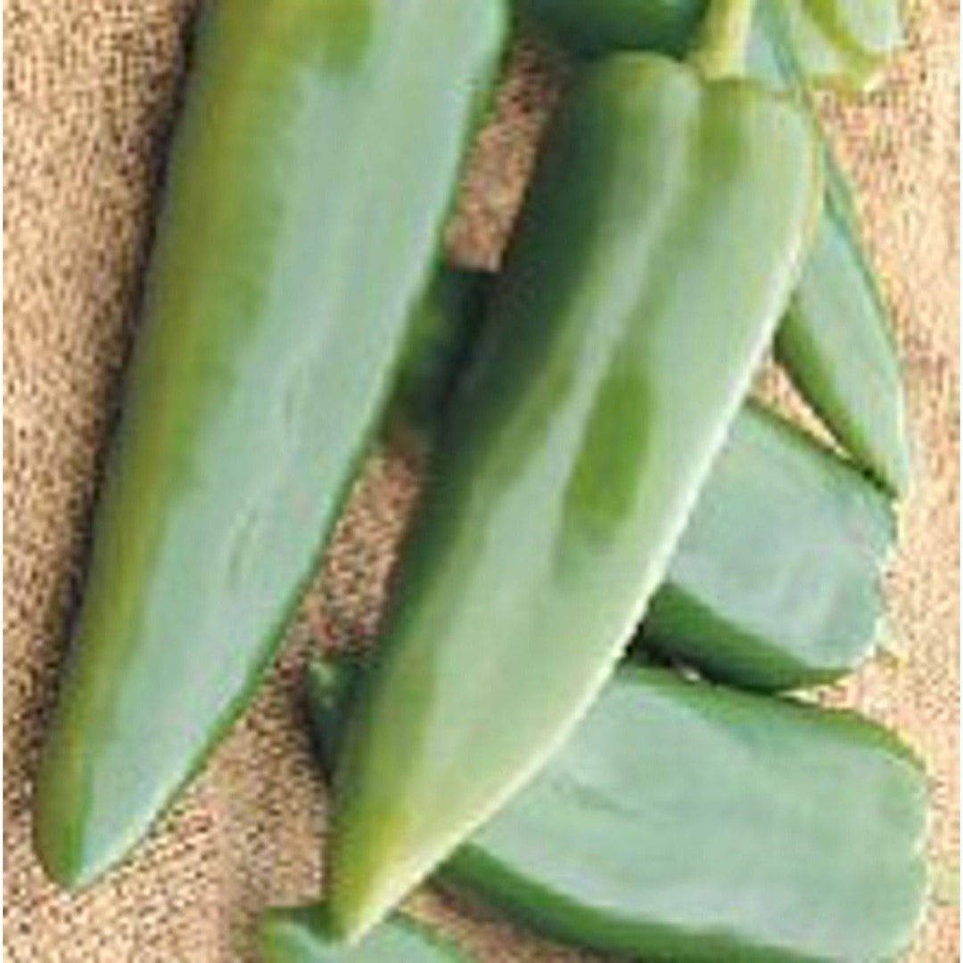 Numex Joe E Parker Hot Peppers Seeds - Etsy