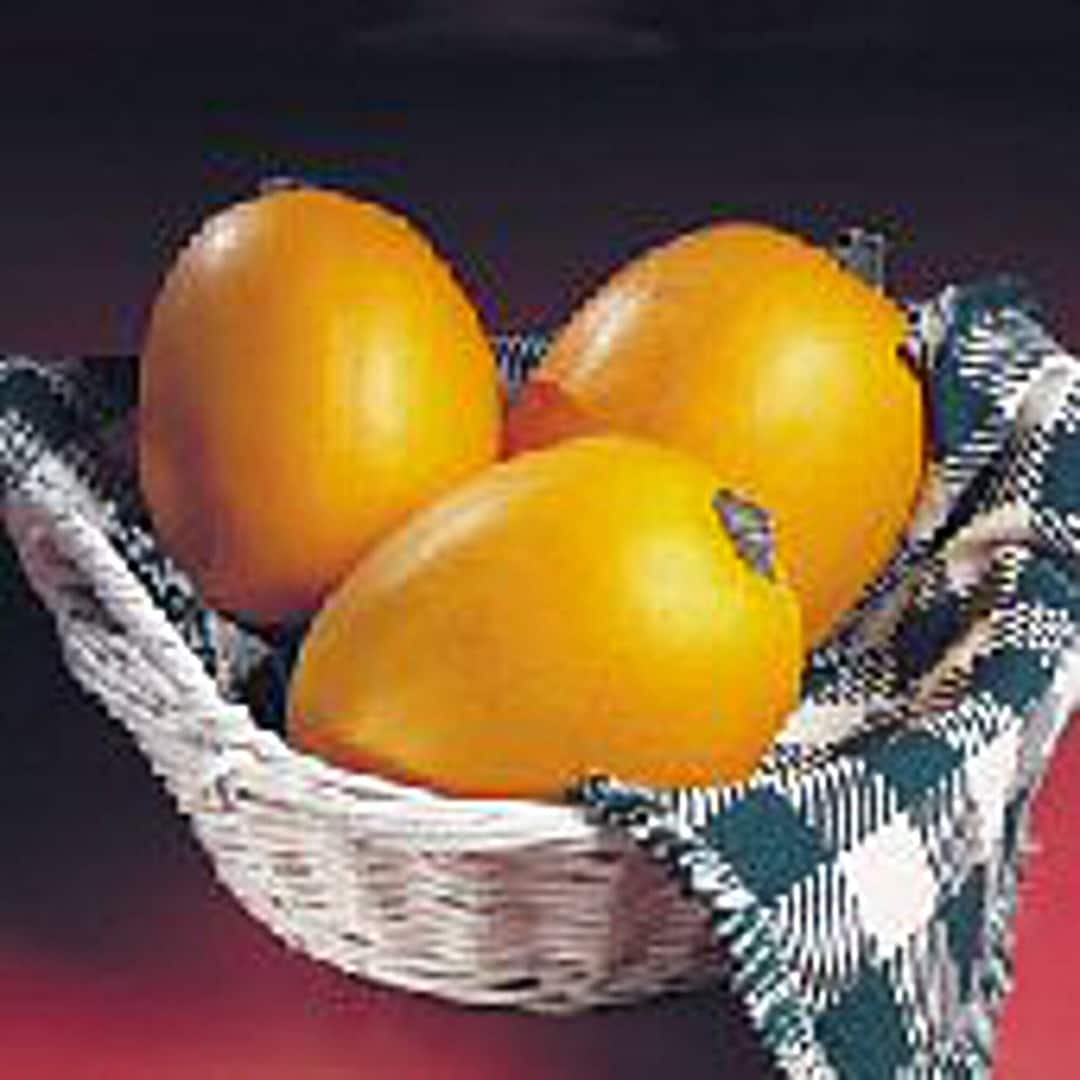 Small Wonder Squash Seeds - Etsy