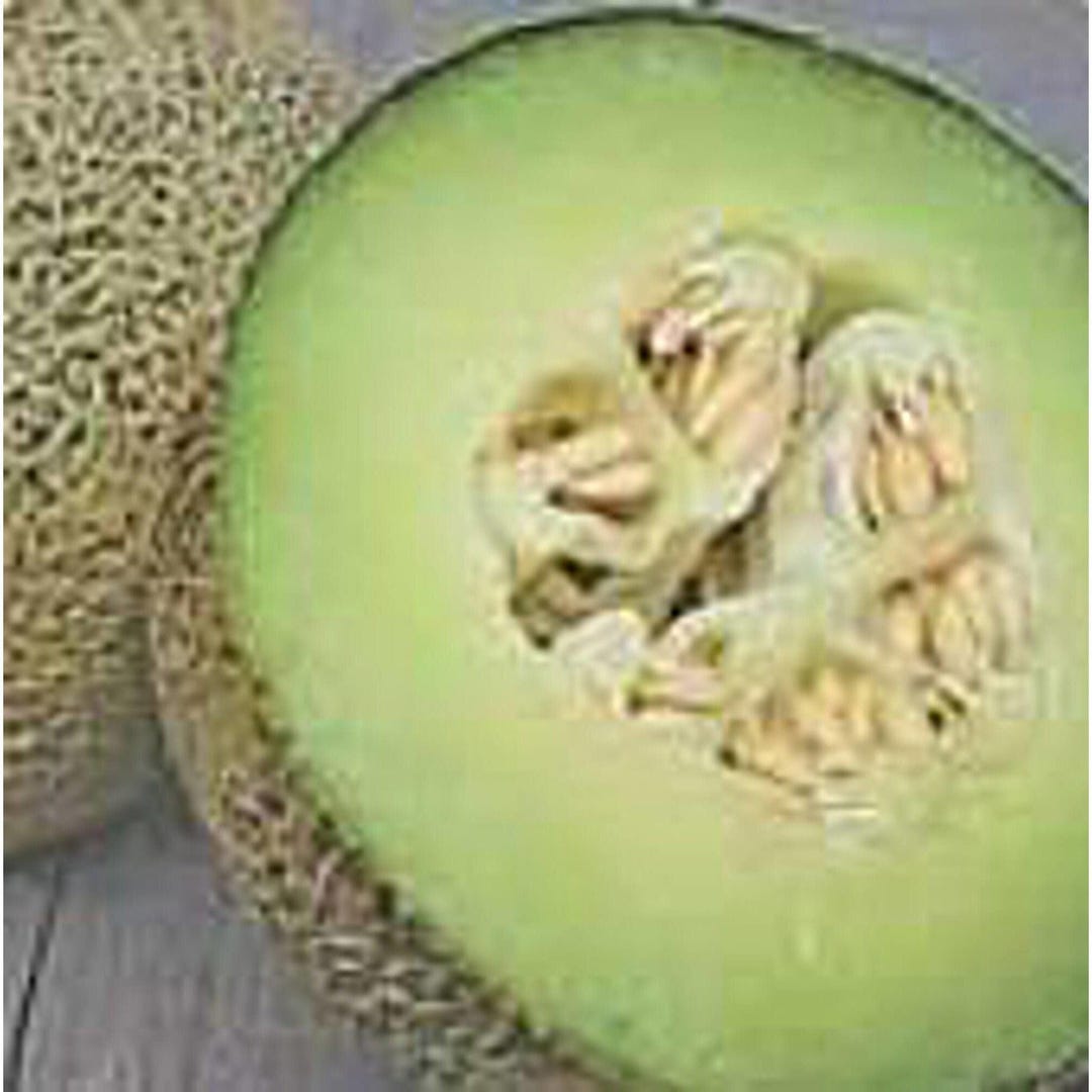 Rocky Ford Melons Seeds - Etsy