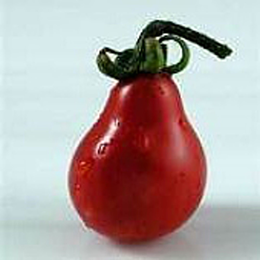 Red Fig Tomato Seeds - Etsy