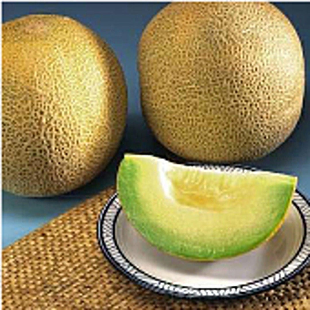 Passport Melons Seeds - Etsy