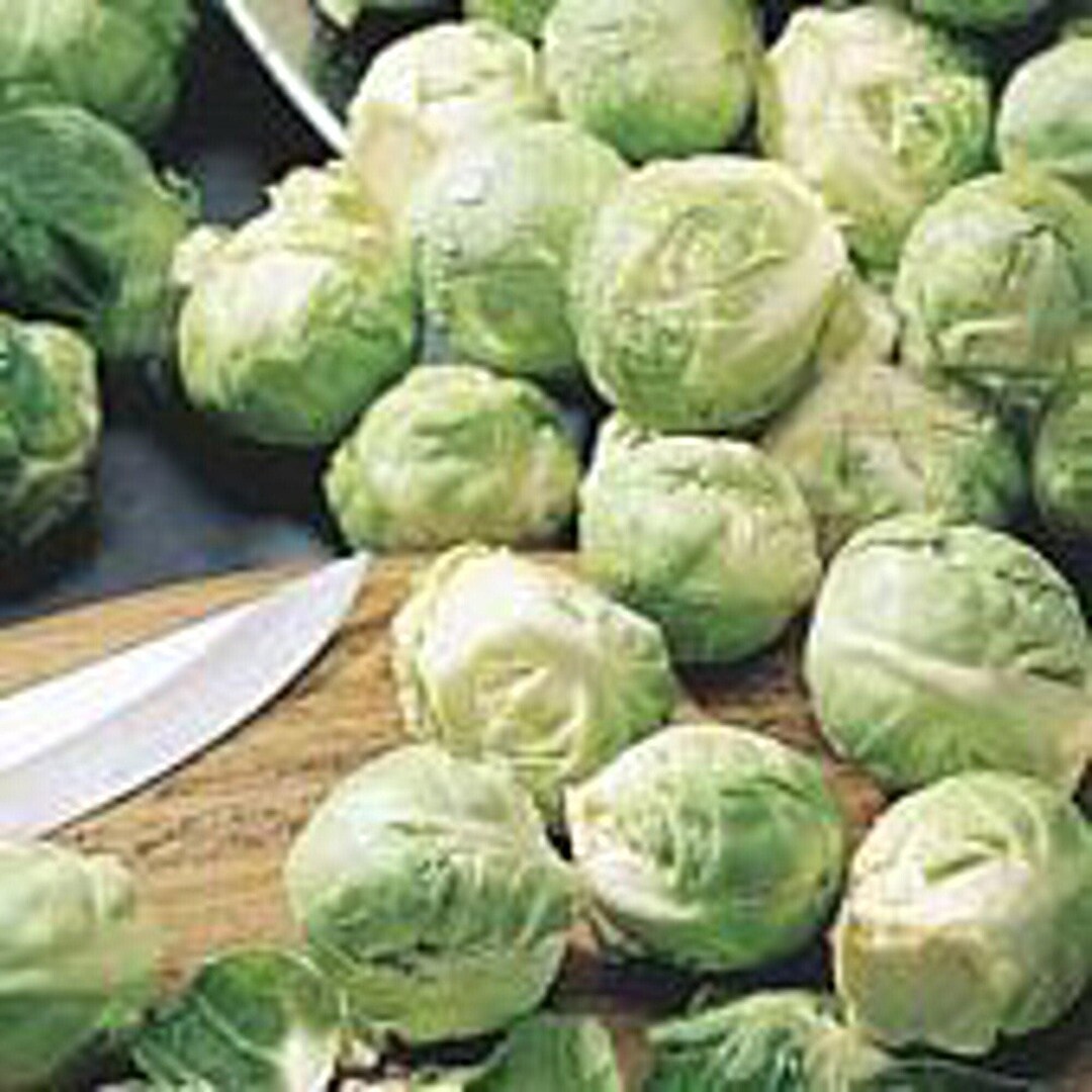 Jade Cross Brussels Sprouts Seeds - Etsy