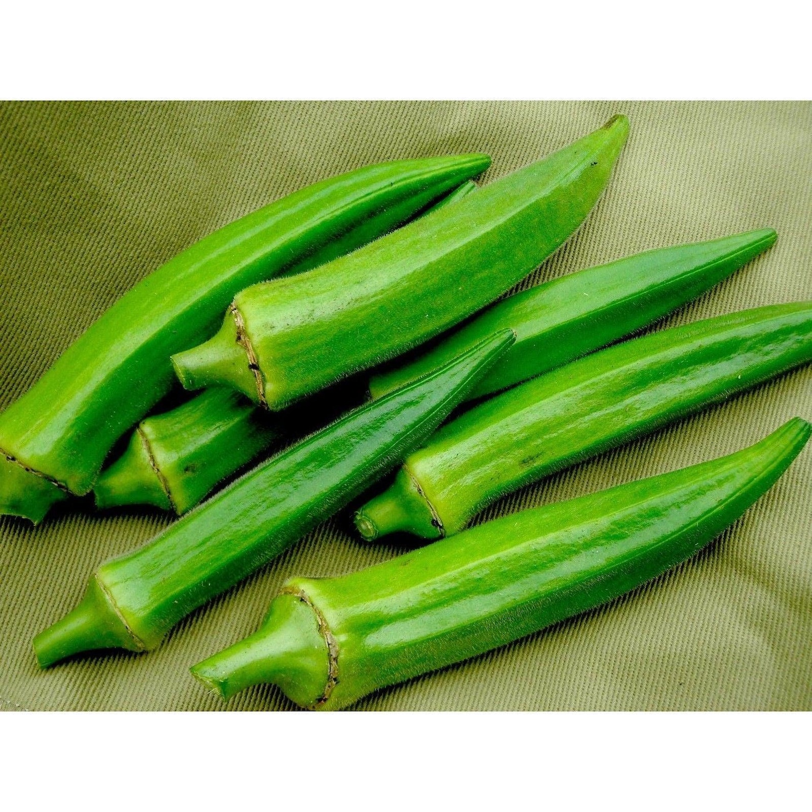 Lee Okra Seeds - Etsy