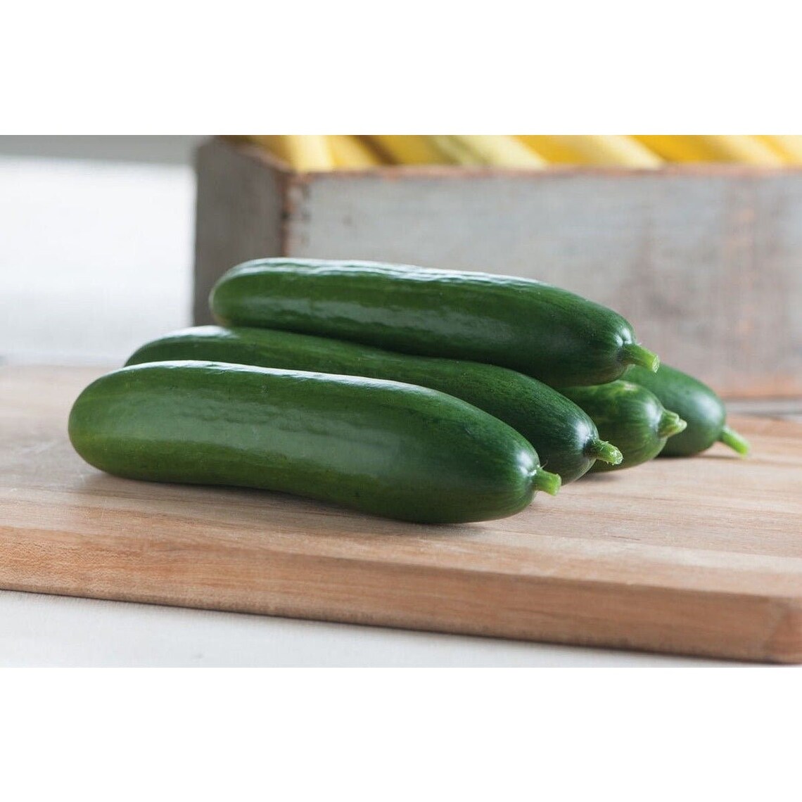 Diva F1 Cucumber Seeds - Etsy