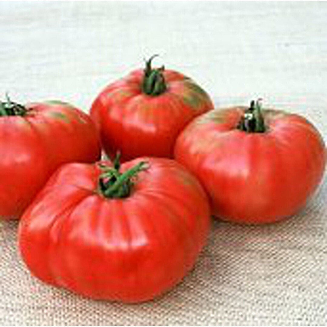 Sandul Moldovan Tomato Seeds - Etsy