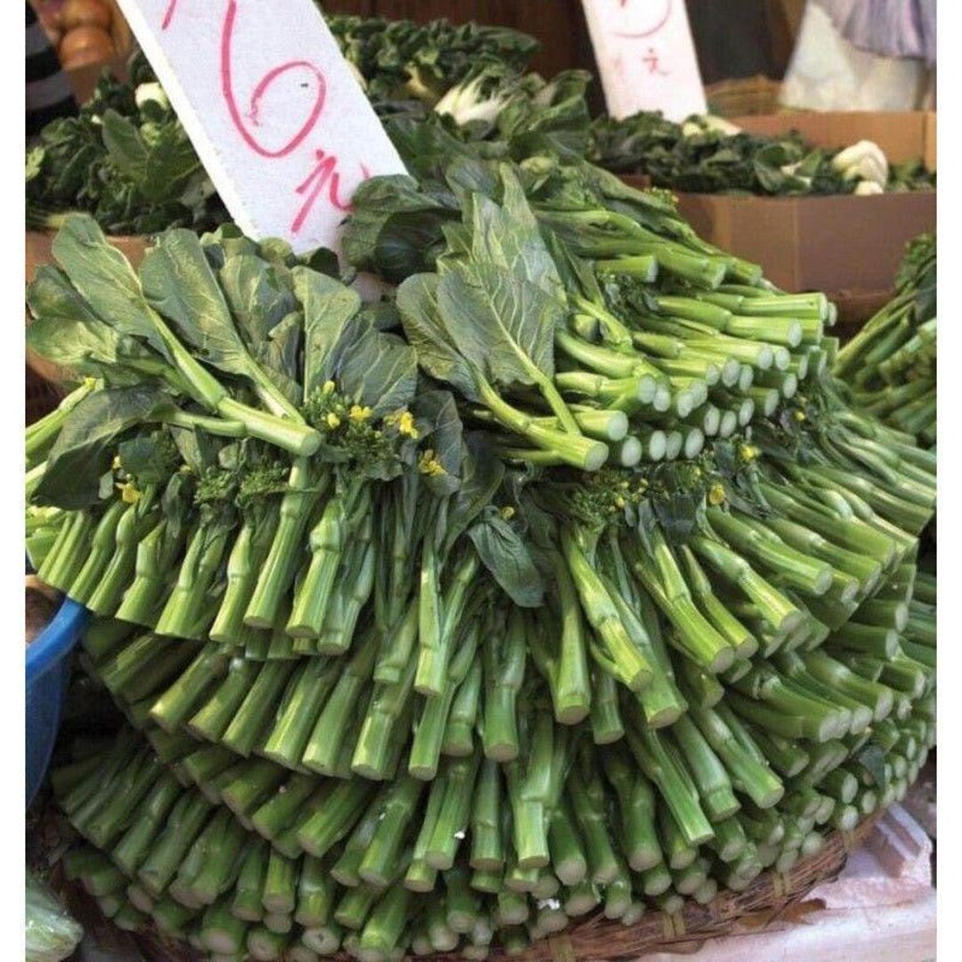 Midwater Gai Lan Seeds - Etsy