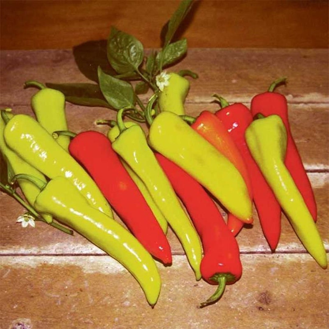 Stoked F1 Hybrid Hot Pepper Seeds - Etsy
