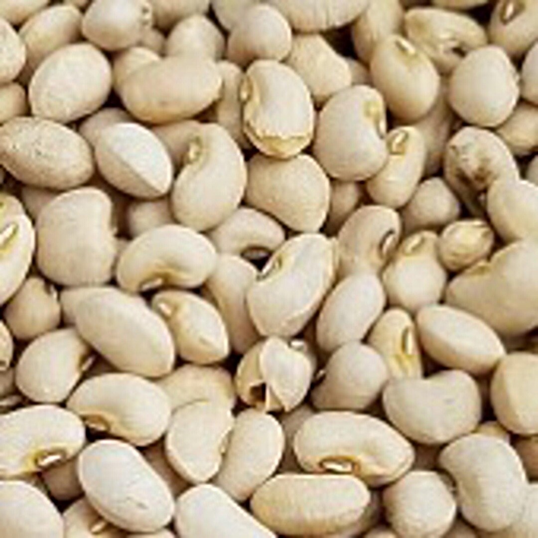 Texas Cream 8 Cowpeas Seeds - Etsy