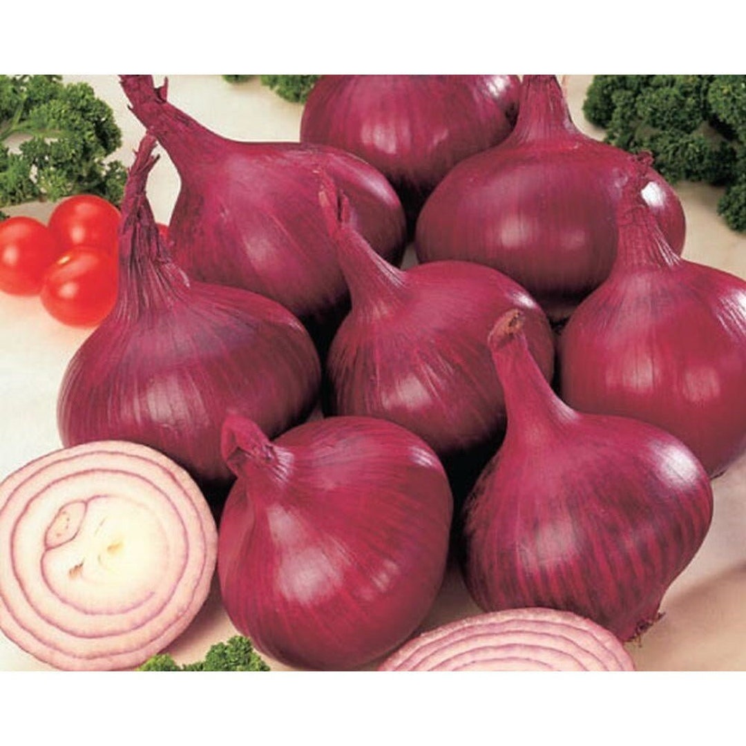 Italian Red Round Onion Seeds - Etsy