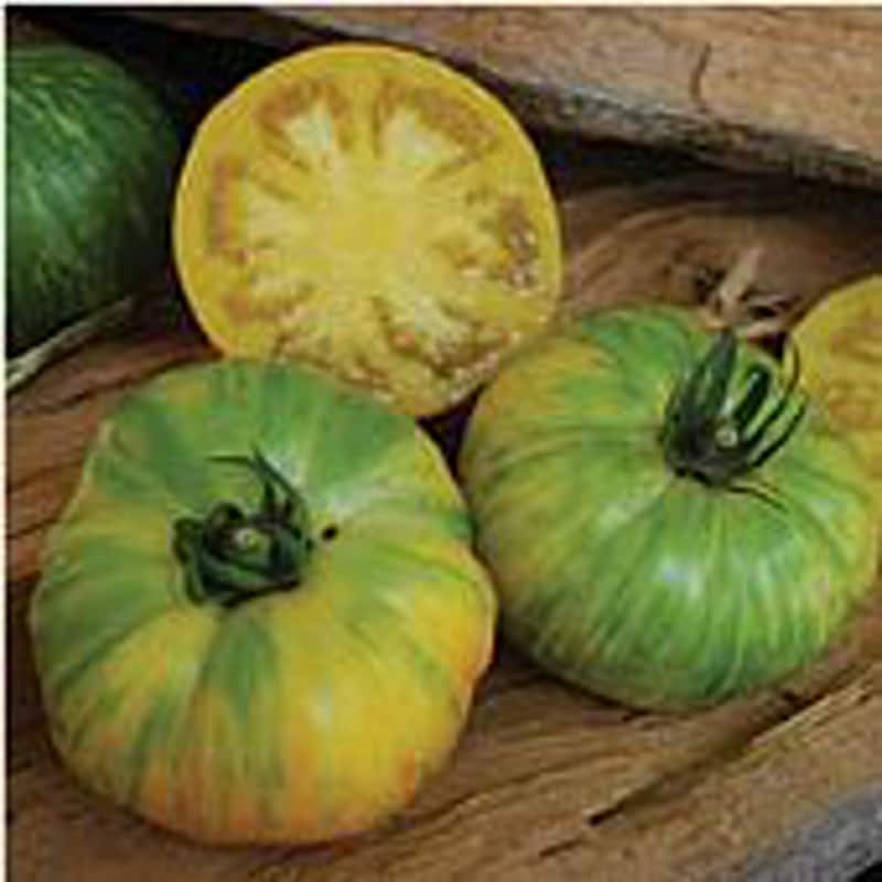 Chop Tomatoes - Etsy