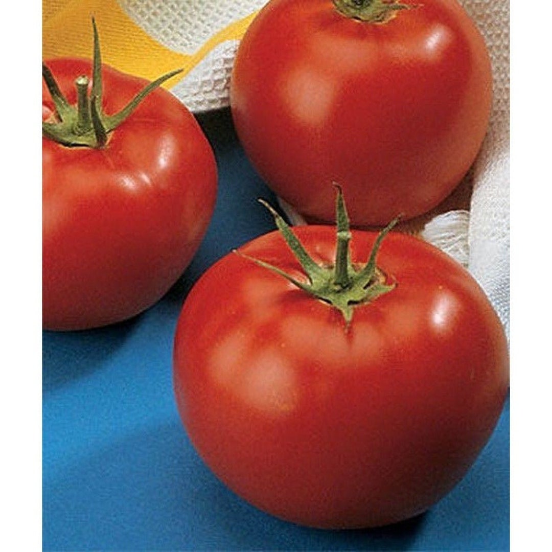 Early Pick Hybrid Tomato Seeds - Etsy