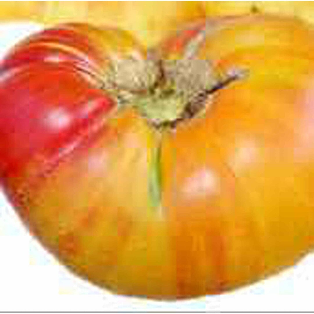 Old Flame Tomato Seeds - Etsy