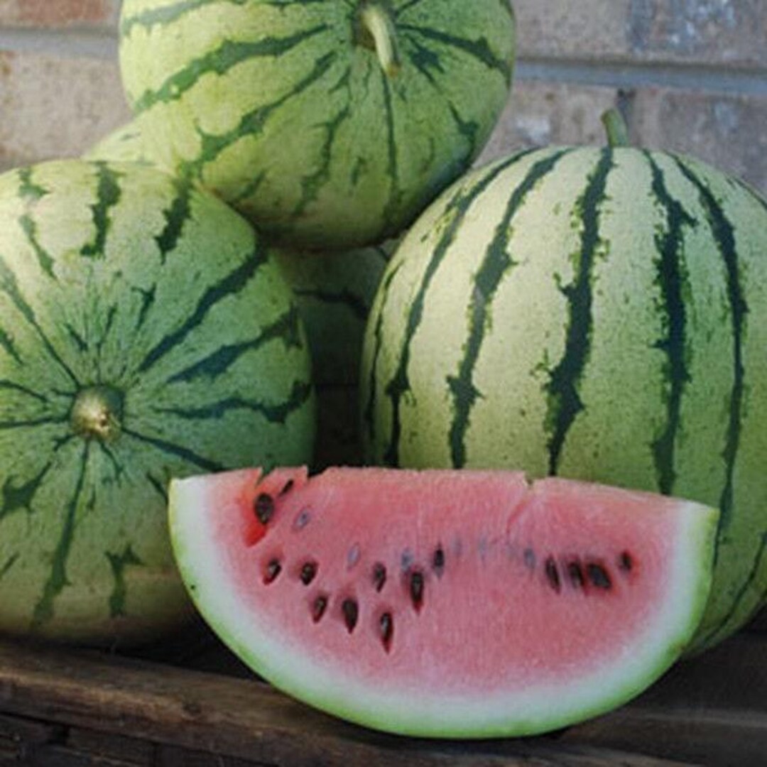 Dixie Queen Watermelon Seeds - Etsy