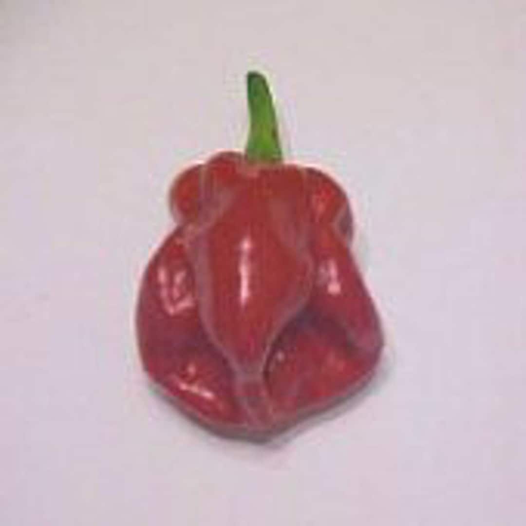 Habanero Hot Peppers (congo Trinidad - Strain 1) Seeds - Etsy