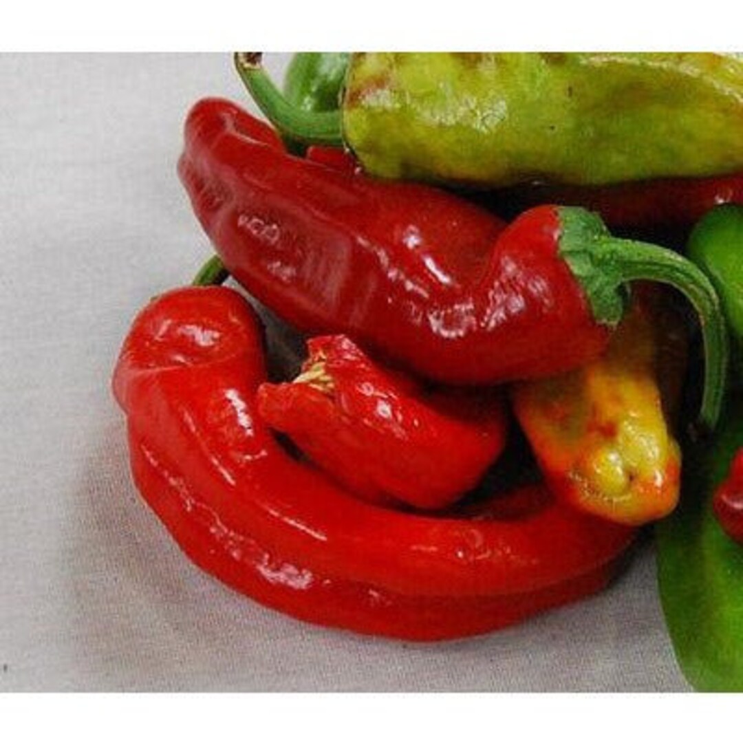 Peperone Friariello Pepper Seeds - Etsy