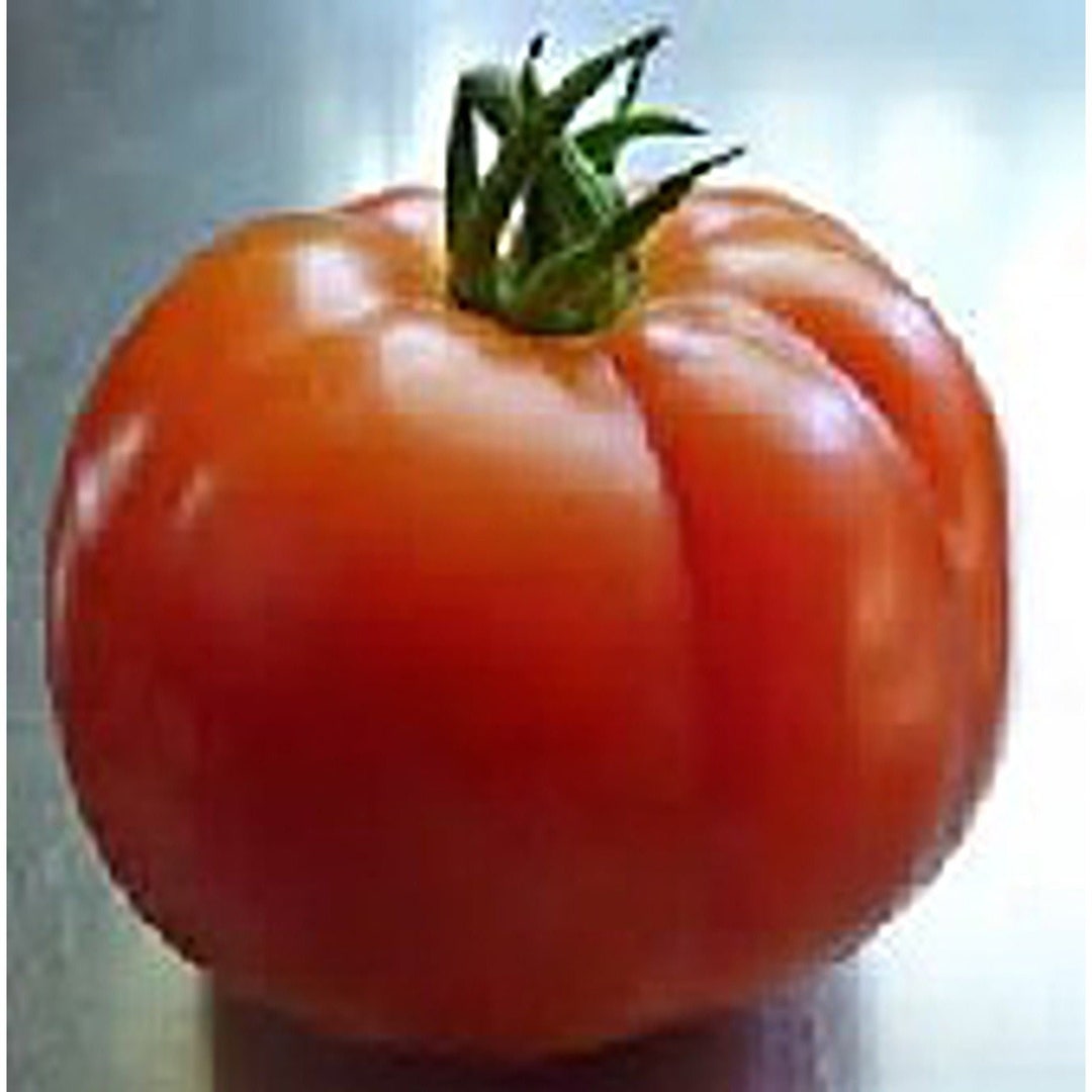 Mega Tom Tomato Seeds - Etsy