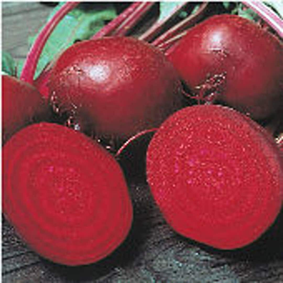 Perfected Detroit Beets Seeds - Etsy