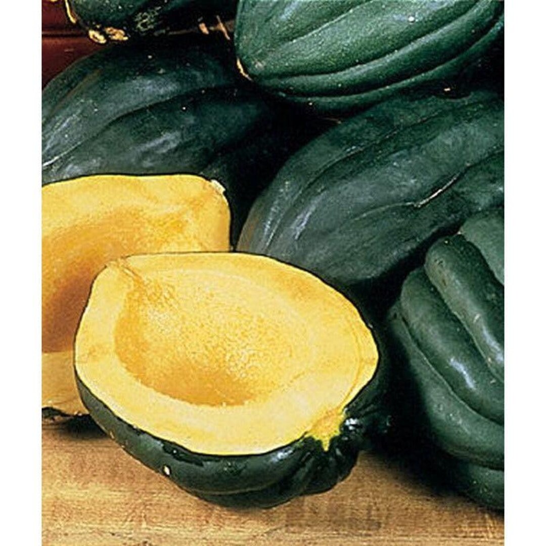 Acorn Table Queen Squash Seeds - Etsy