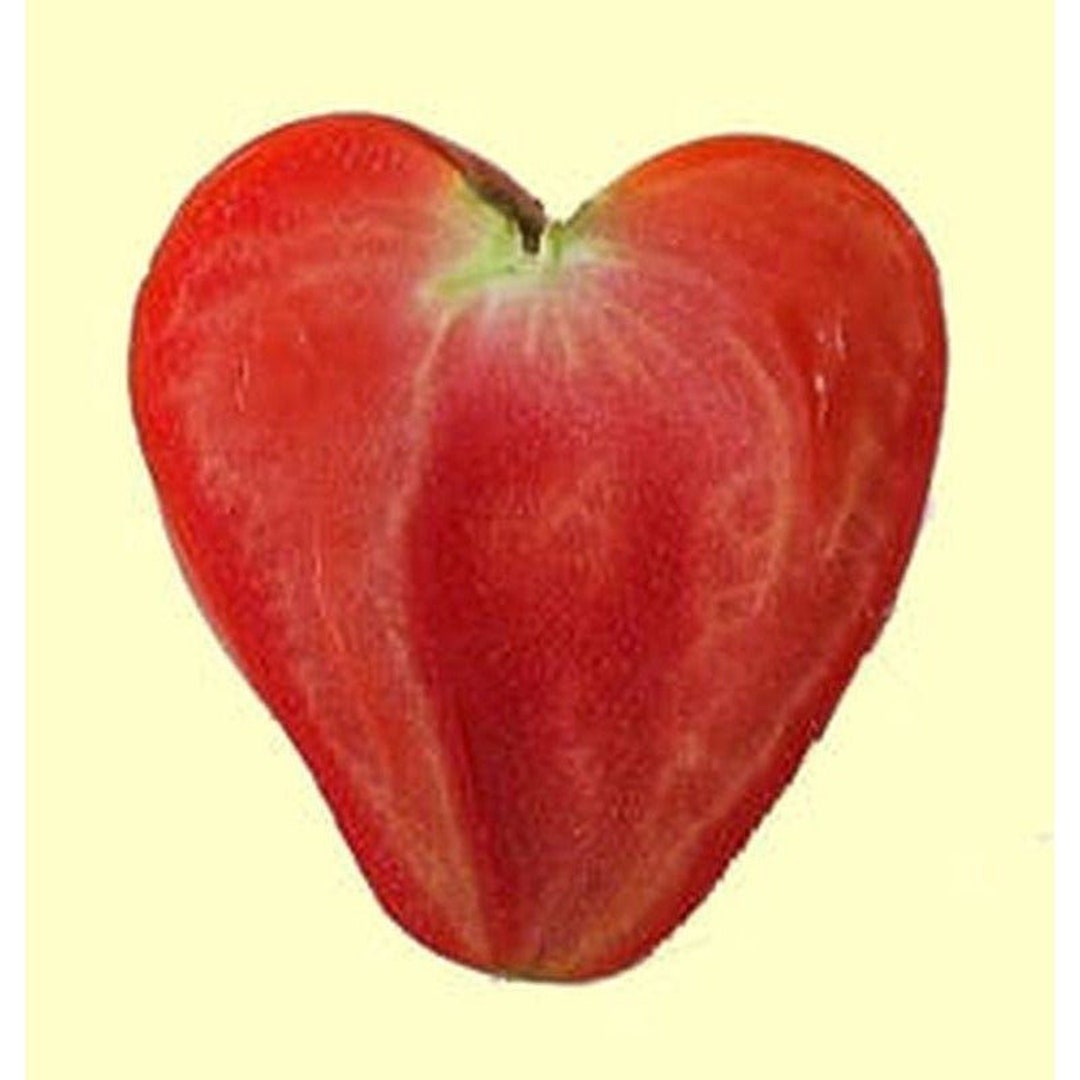 Anna Russian Tomato Seeds - Etsy