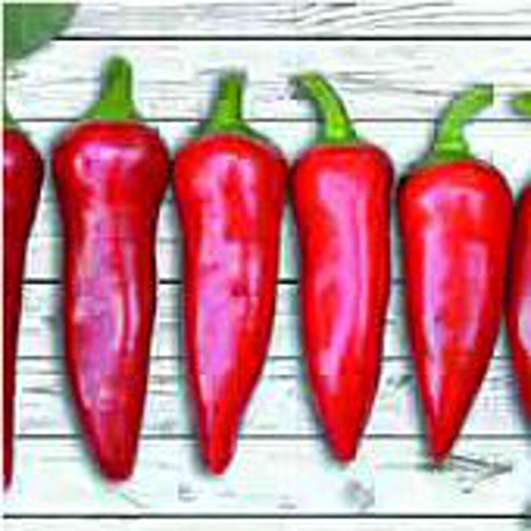 Flaming Flare Hot Peppers Seeds - Etsy
