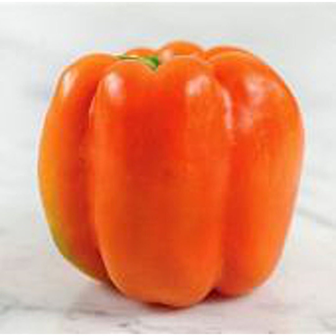 Muscato Sweet Peppers Seeds - Etsy