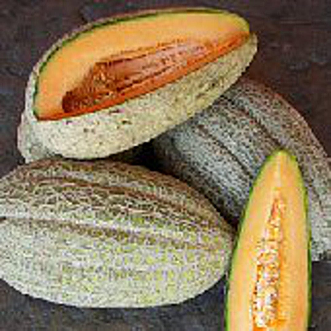Healy's Pride Melons Seeds - Etsy