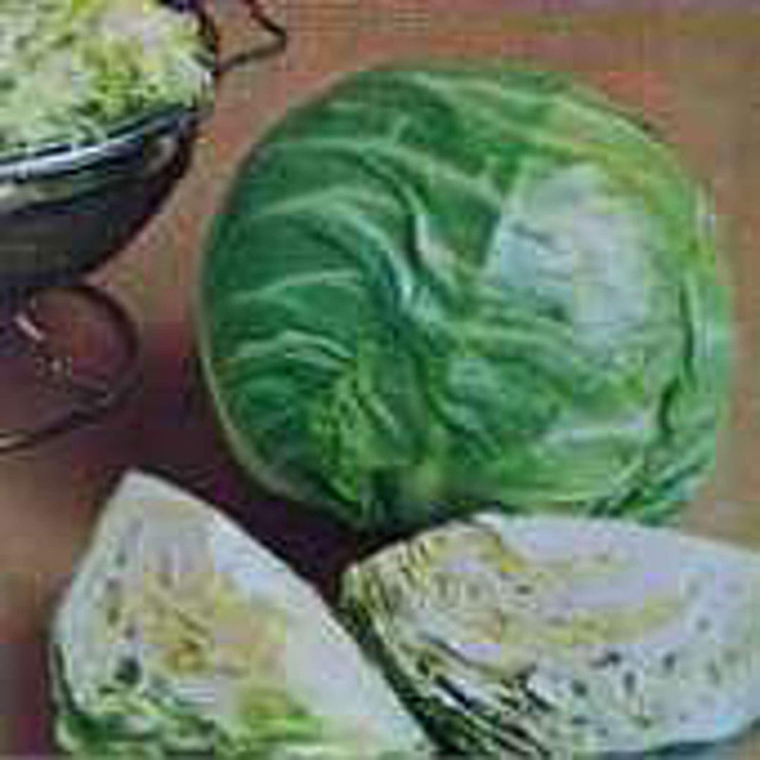 Early Round Dutch Cabbage Seeds - Etsy