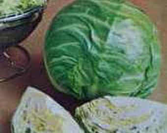 Early Round Dutch Cabbage Seeds - Etsy