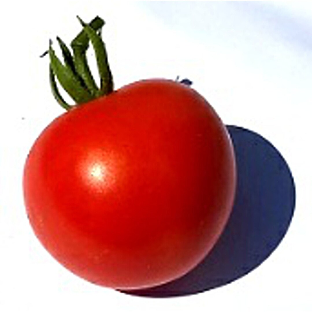 Red Eclipse Tomato Seeds - Etsy