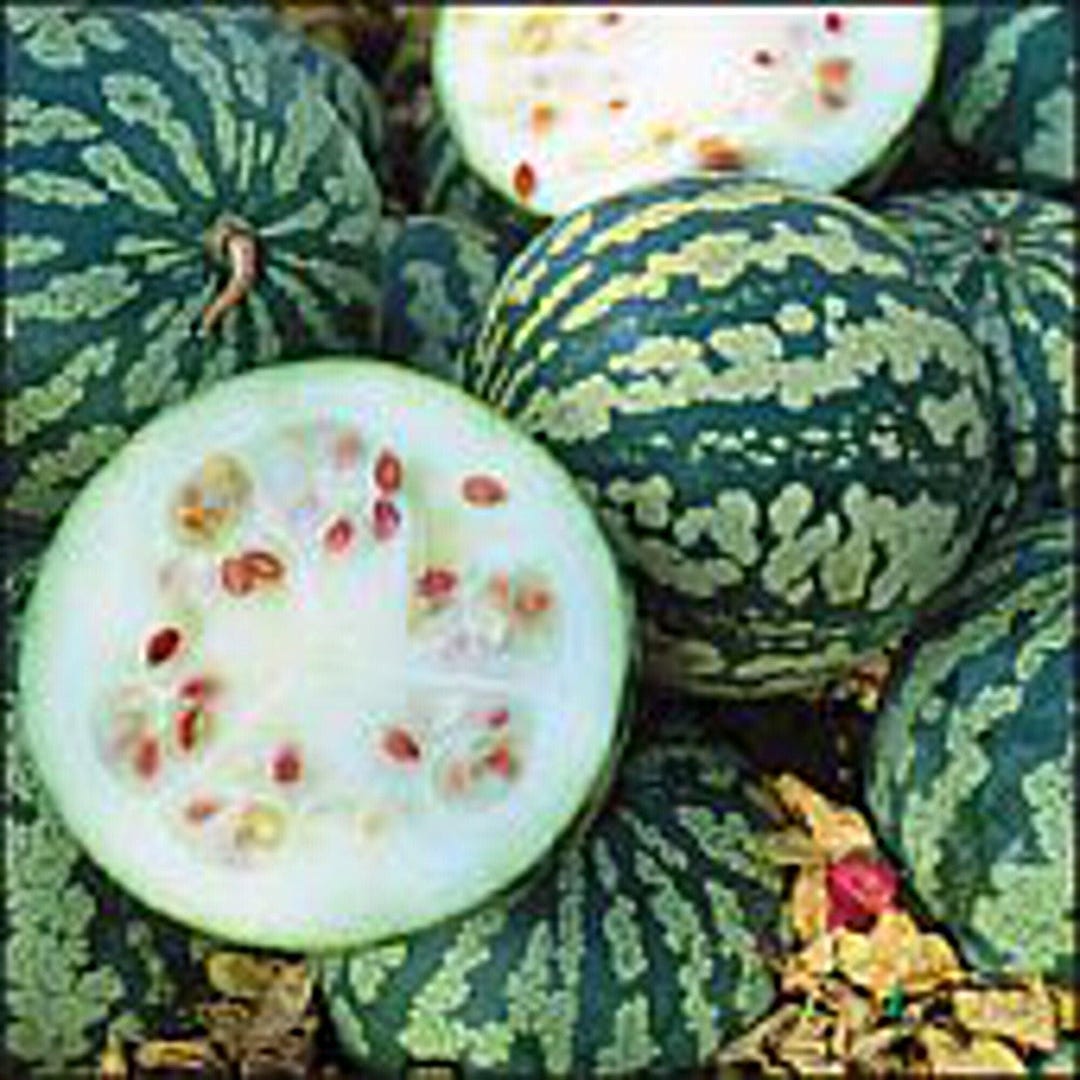 Citron Watermelons Seeds - Etsy
