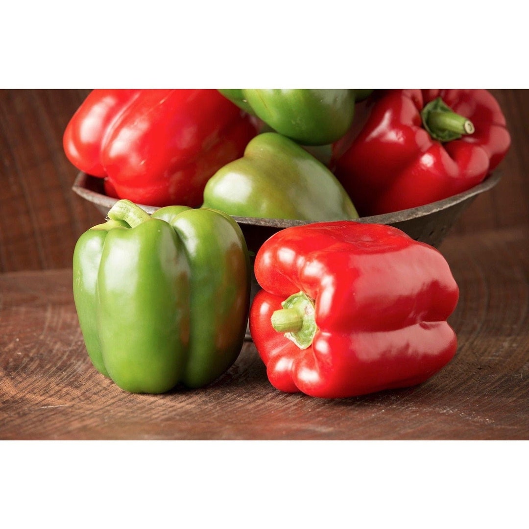 Sprinter Organic F1 Hybrid Bell Pepper Seed - Etsy