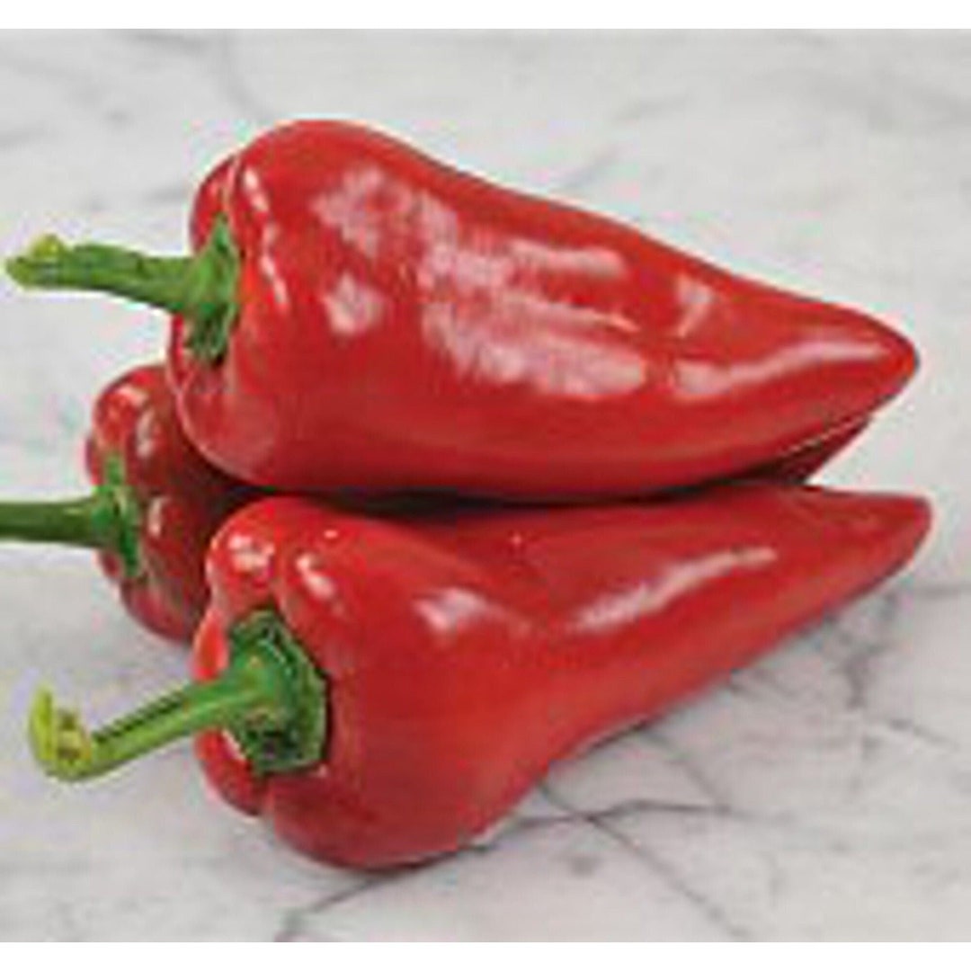 Chervena Chushka Sweet Peppers Seeds - Etsy