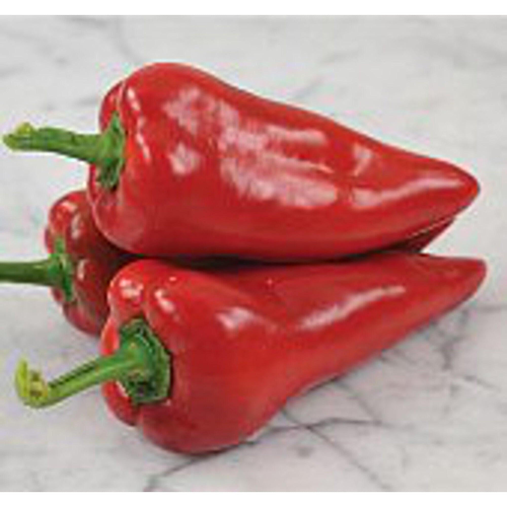 Chervena Chushka Sweet Peppers Seeds - Etsy
