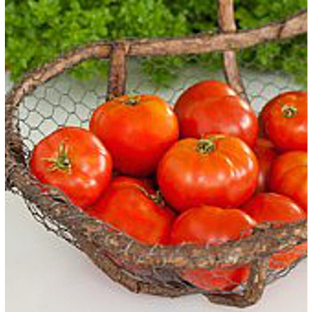 Mountain Pride Tomato Seeds - Etsy