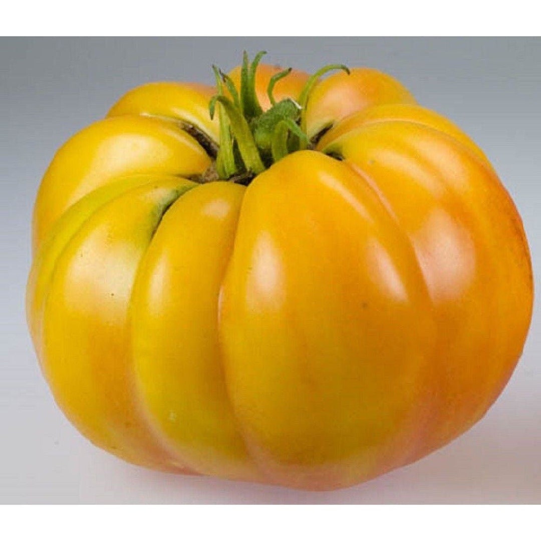 Lucky Cross Tomato Seeds - Etsy
