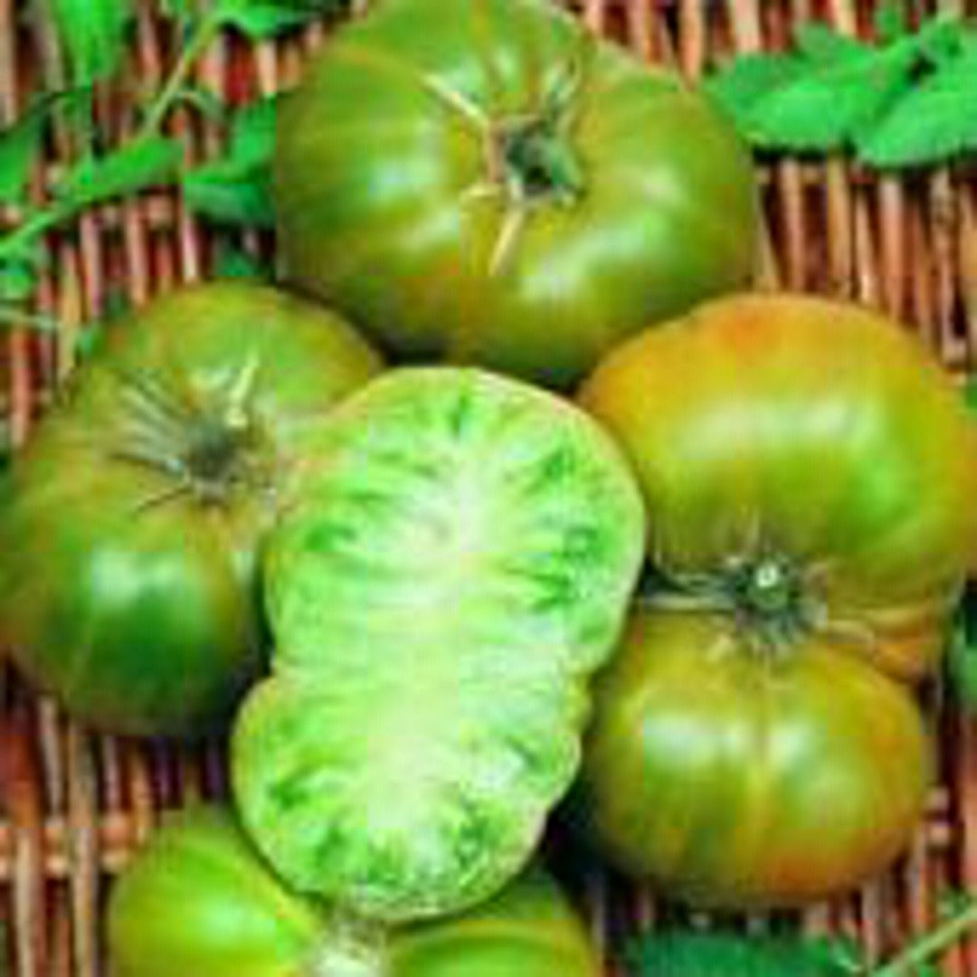 Evergreen Tomato Seeds - Etsy