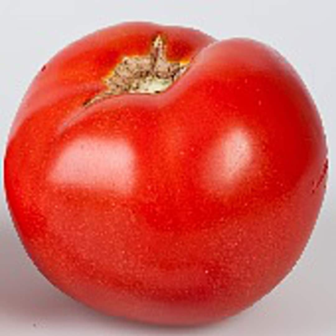 Empire Tomato Seeds - Etsy