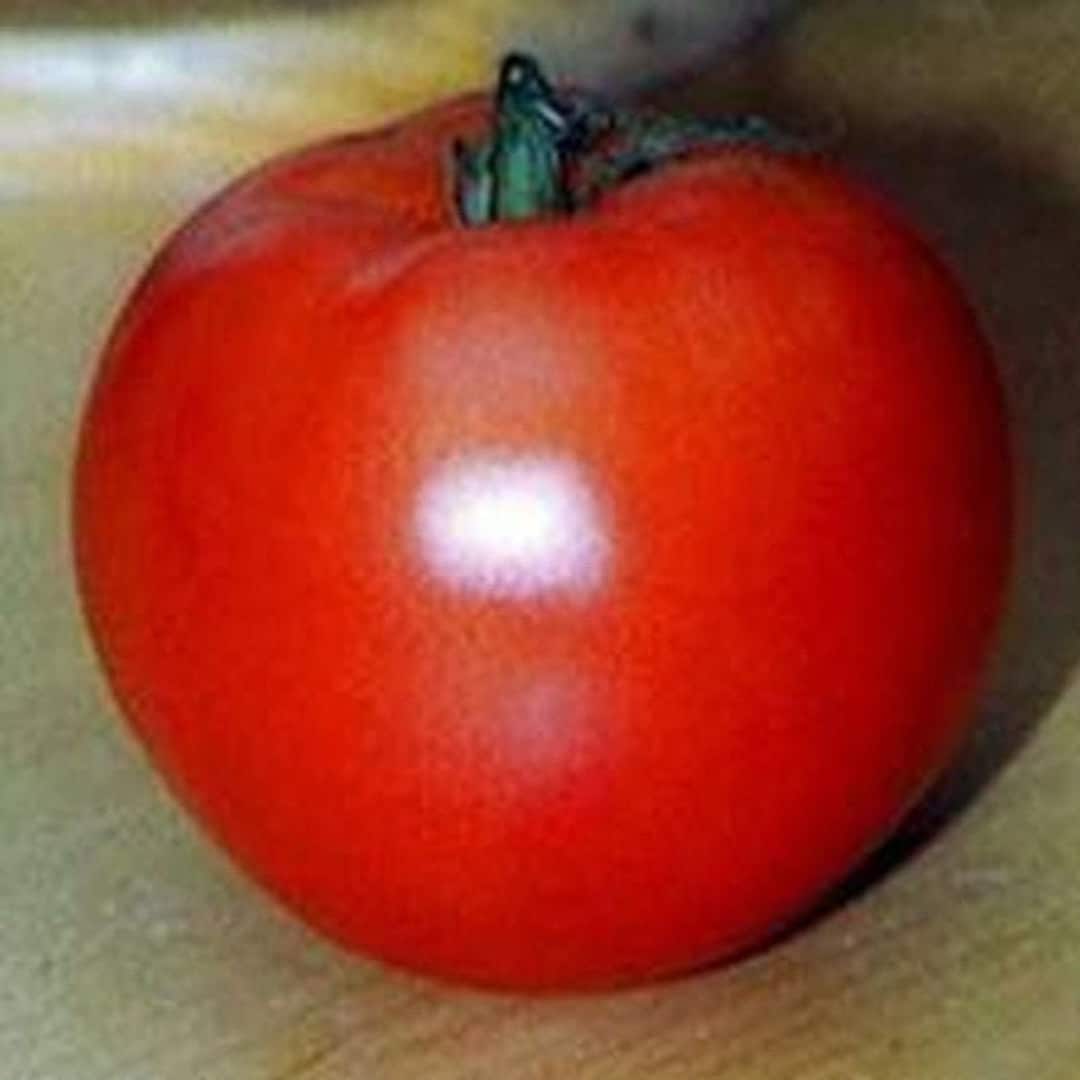 Floradade Tomato Seeds - Etsy