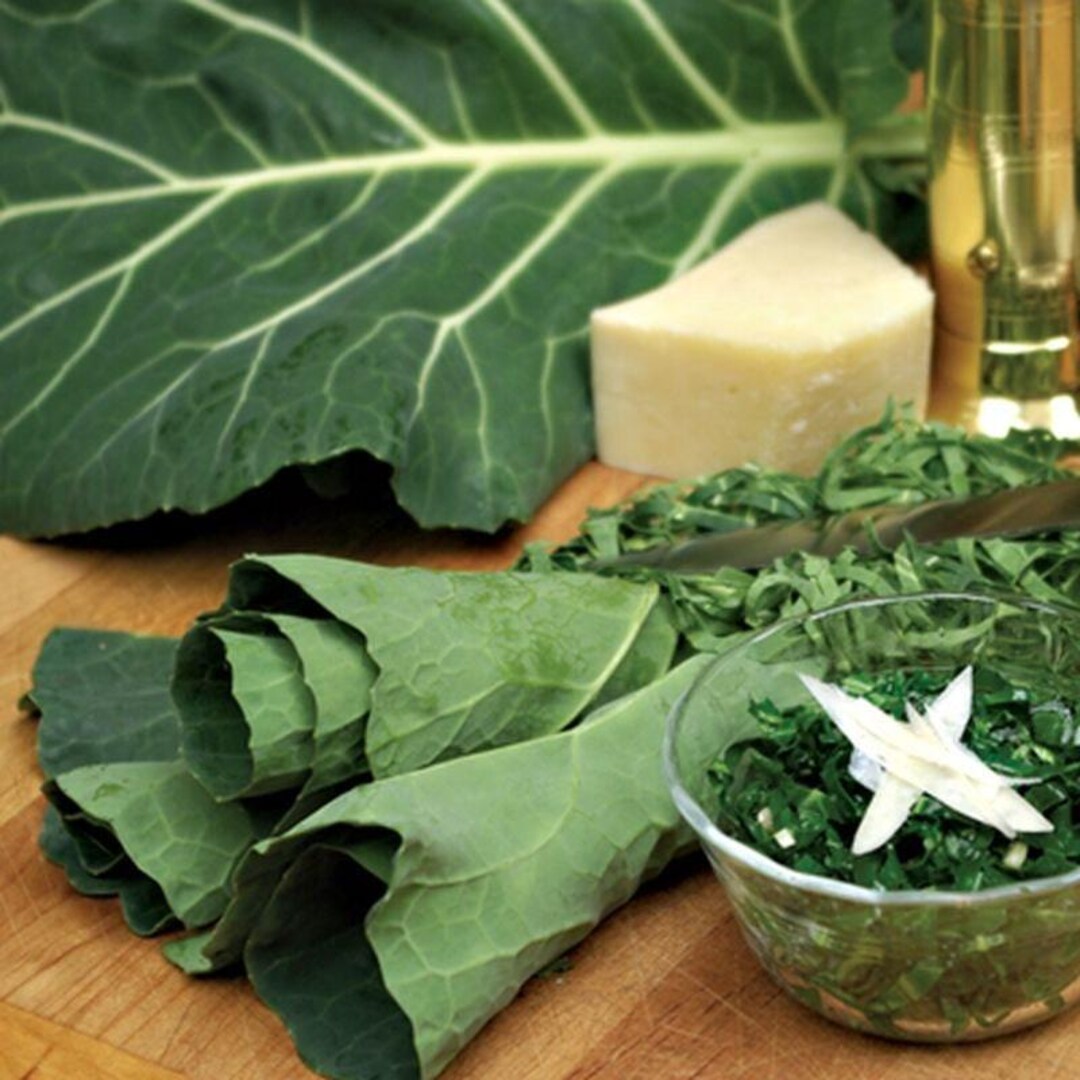 Flash Collard Seeds - Etsy