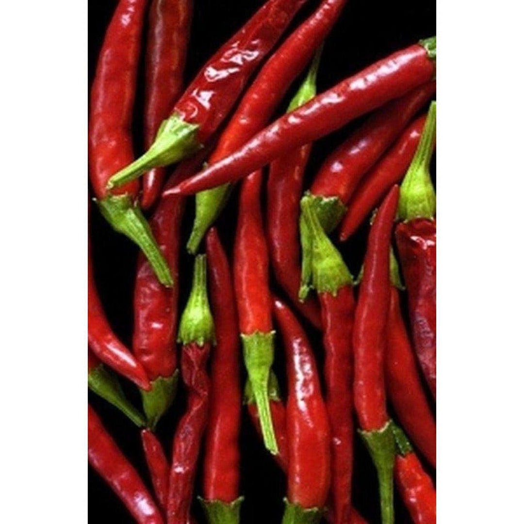Diablo Grande F1 Hybrid Hot Pepper Seeds - Etsy