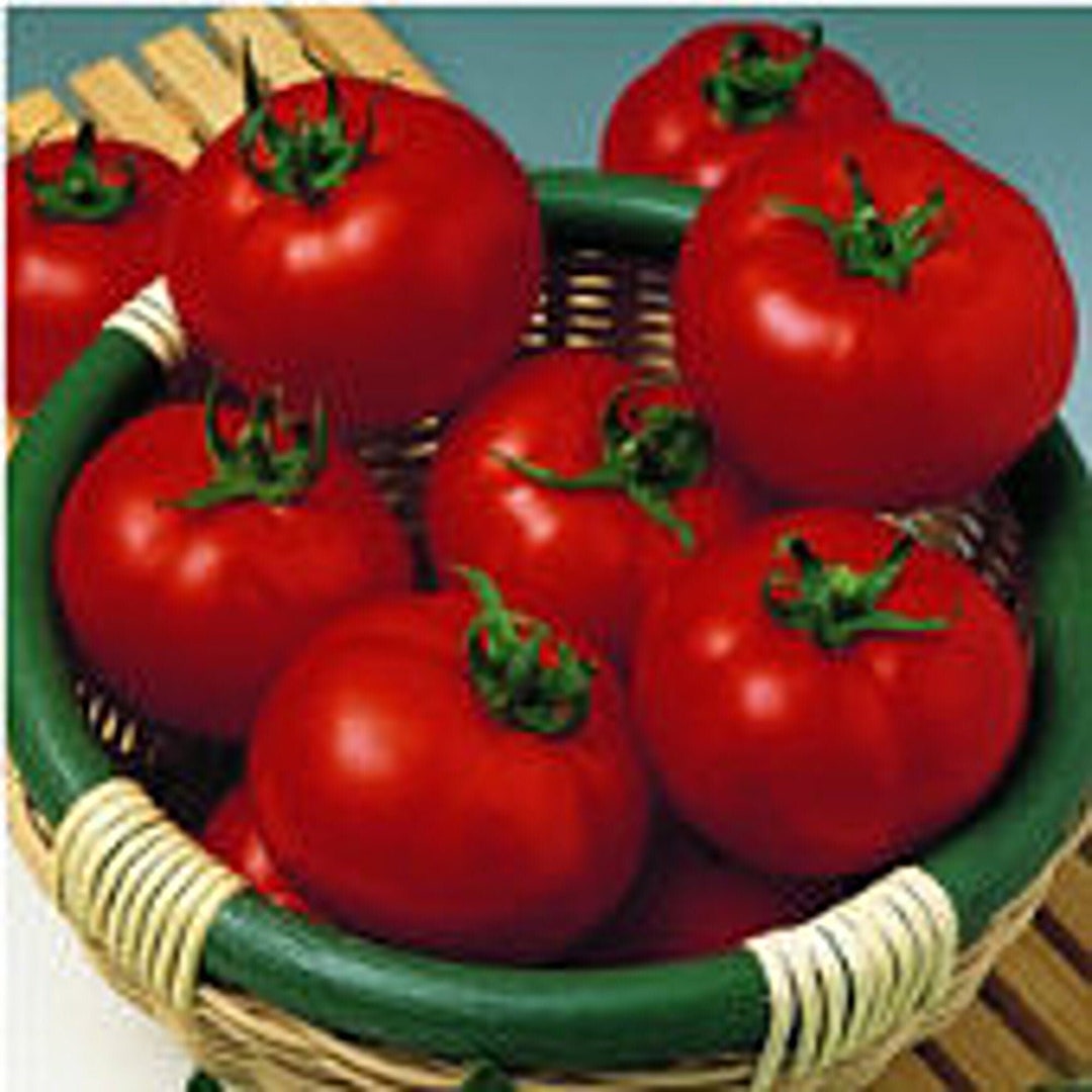 Margo Tomato Seeds - Etsy
