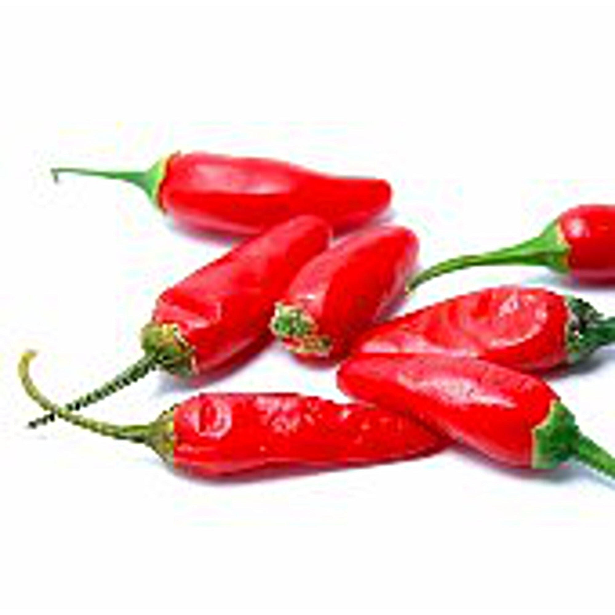 Small Red Chili Hot Peppers Seeds - Etsy