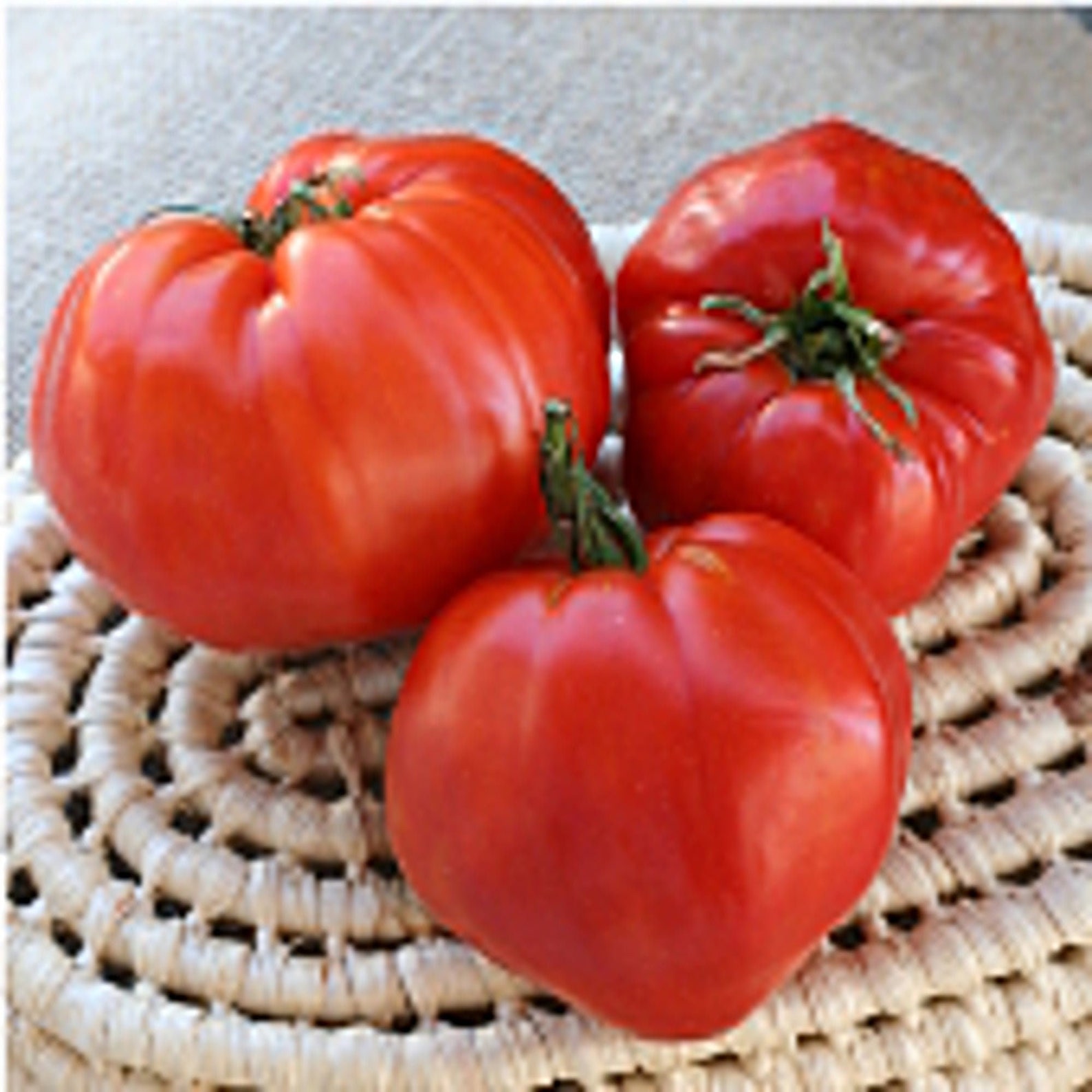 Wes Tomato Seeds - Etsy