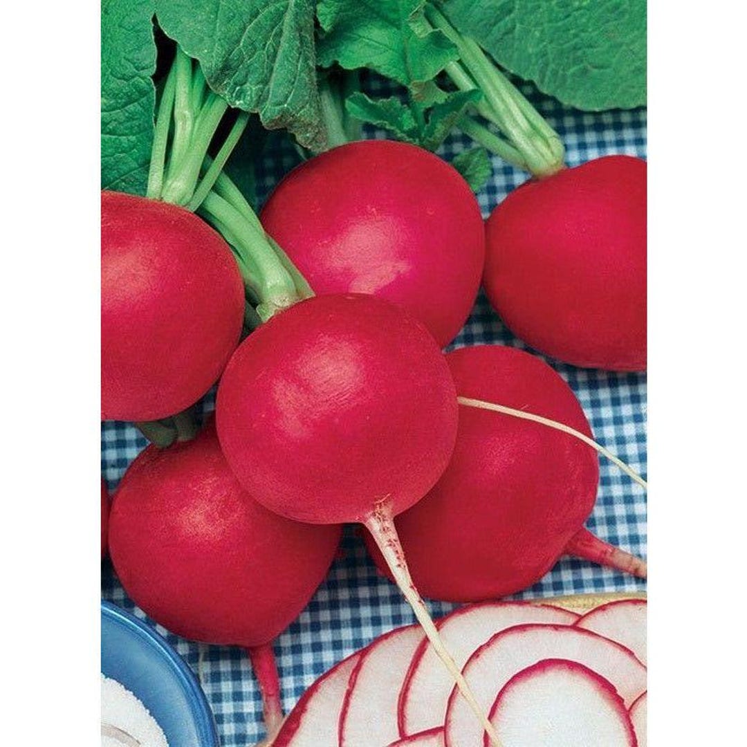 Giant Butter Globe Radish Seeds - Etsy