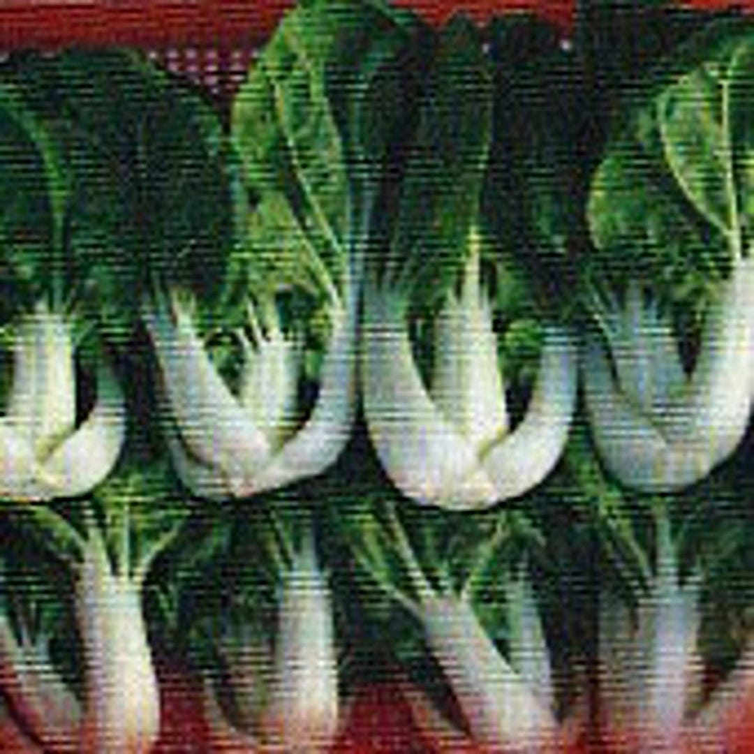 New Nabai Chinese Cabbage Seeds - Etsy